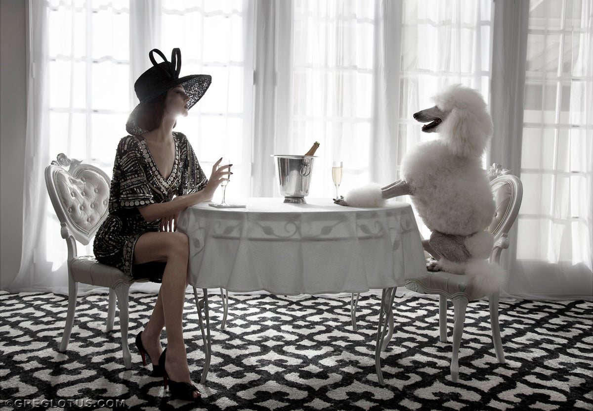 Greg Lotus "Champagne Poodle" – Nisi B Home